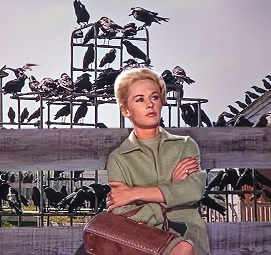 Happy Bird Day to You! – Michael's TV Tray